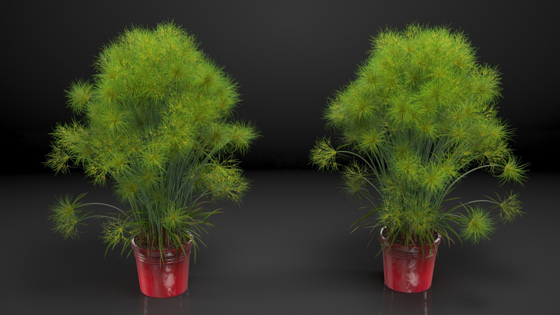 3D Papyrus Plant Pot model - TurboSquid 1896303