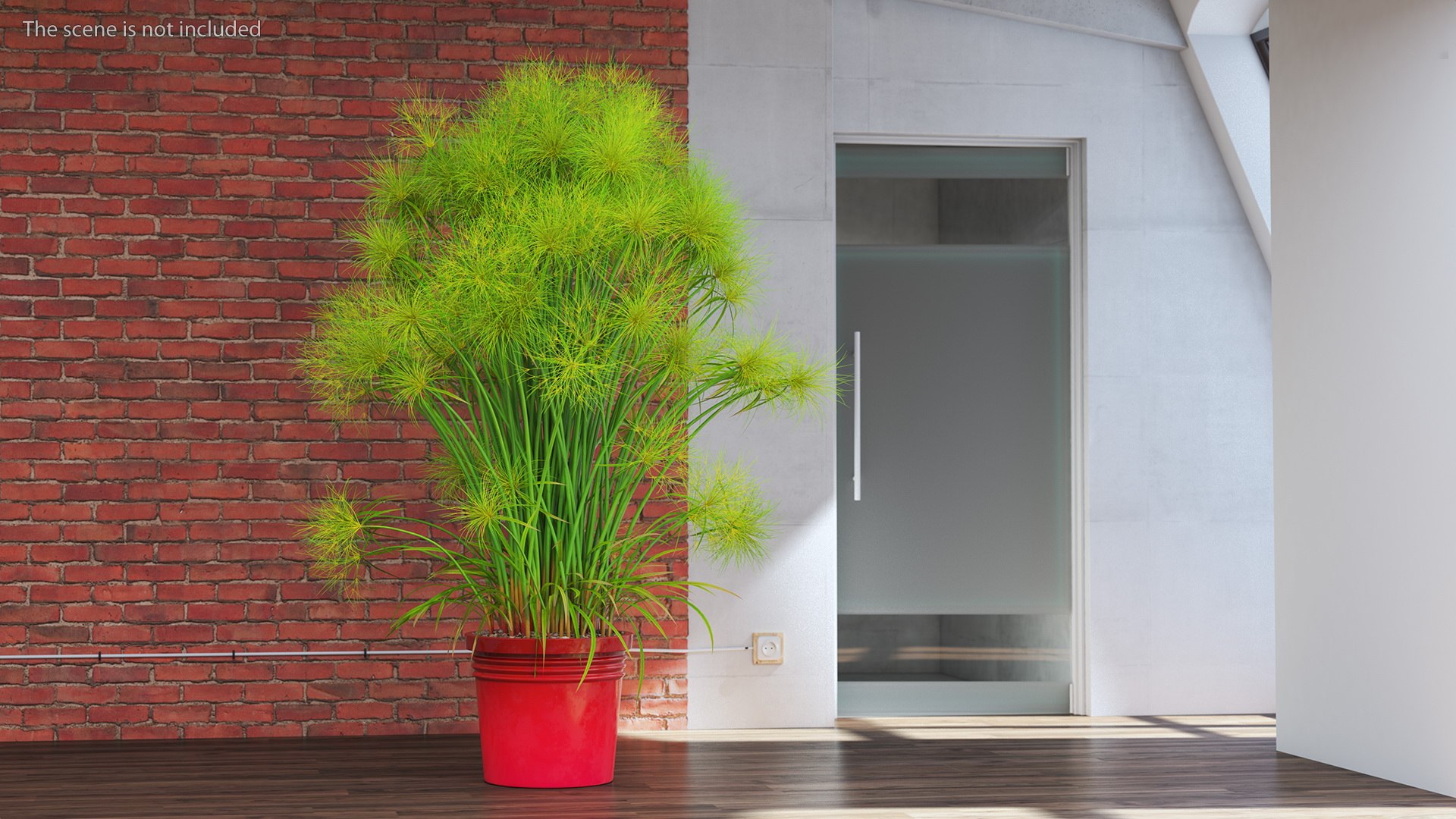 3D Papyrus Plant Pot Model - TurboSquid 1896303