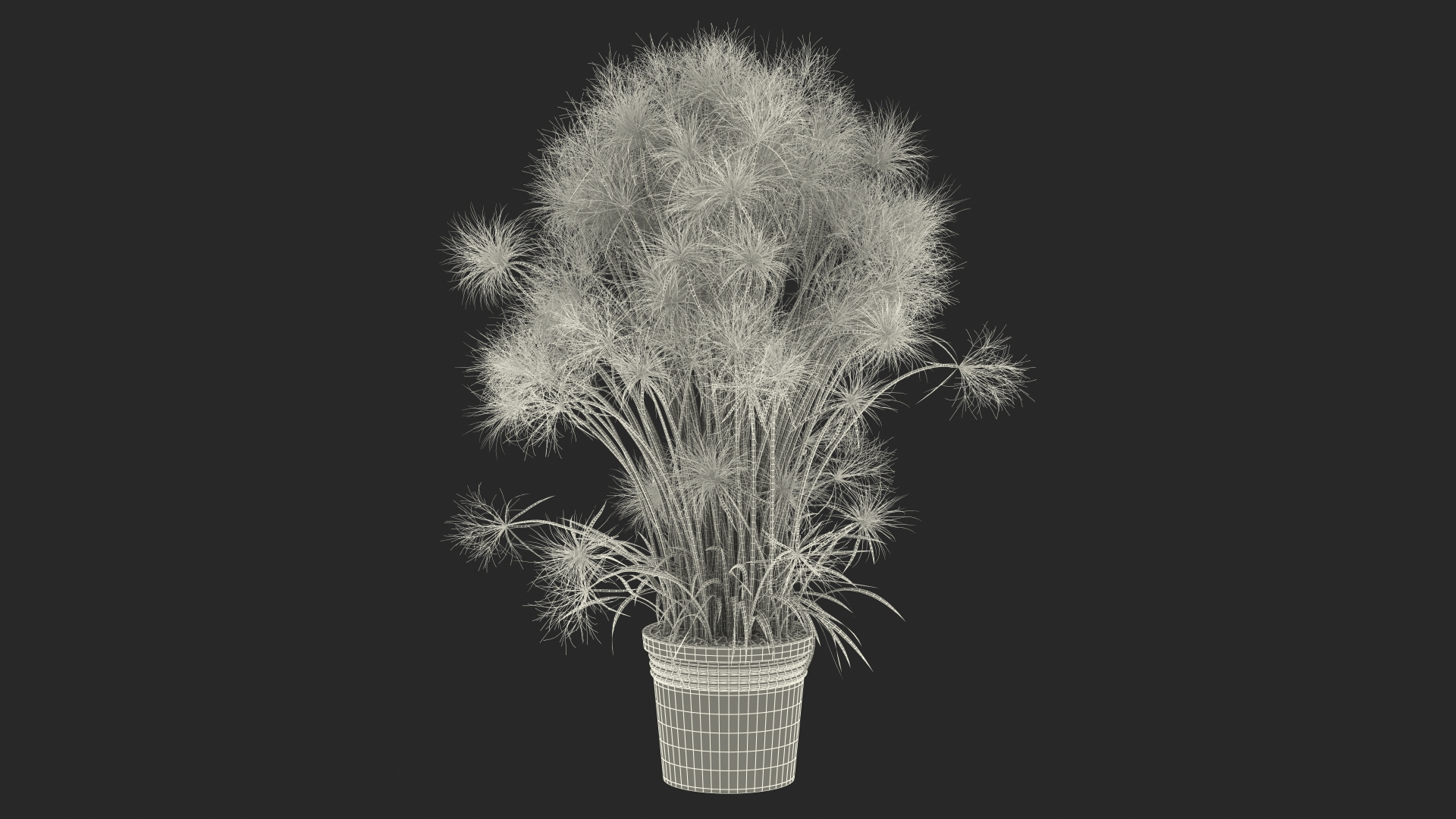 3D Papyrus Plant Pot Model - TurboSquid 1896303