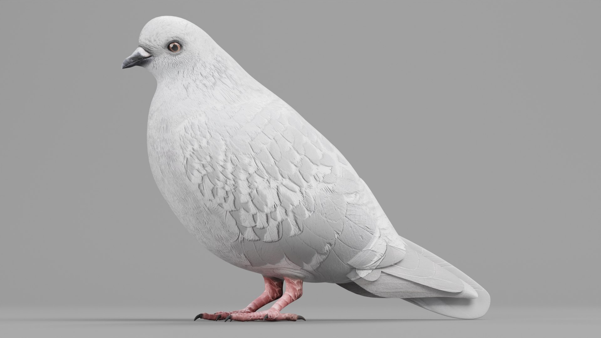 3D Dove - TurboSquid 2191946