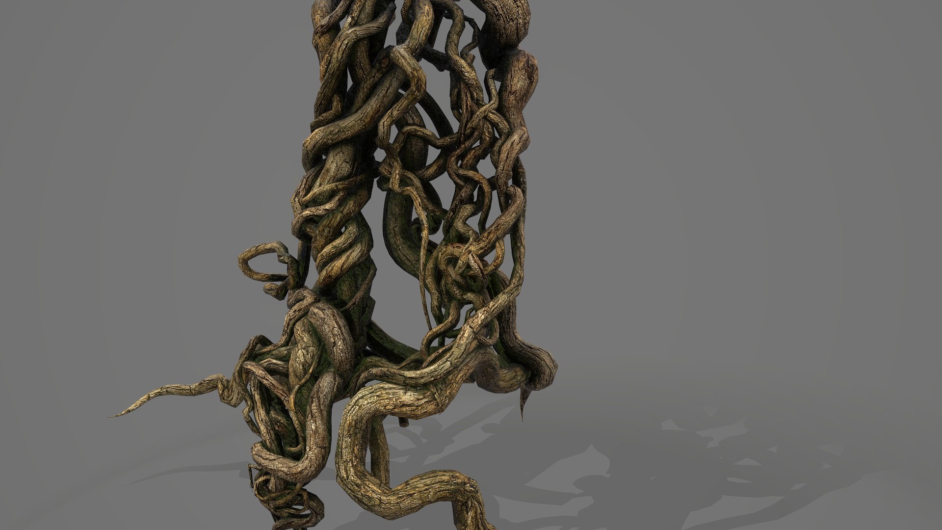 Tree Roots V6 PBR 3D Model - TurboSquid 2360951