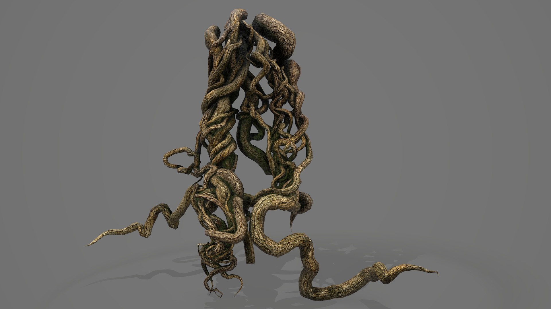 Tree Roots V6 PBR 3D Model - TurboSquid 2360951