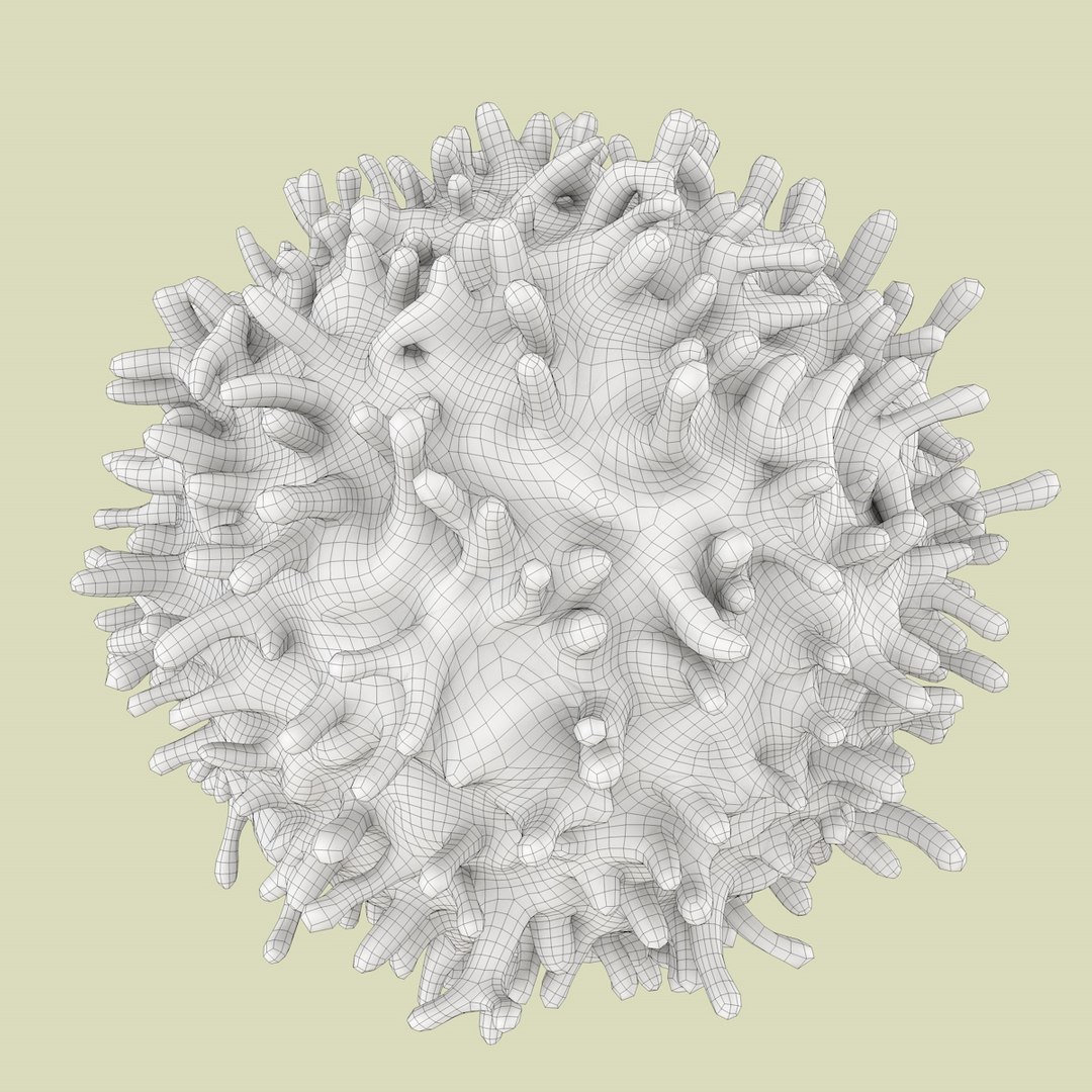 3D Lymphocytes Neutrophil Basophil - TurboSquid 1168937