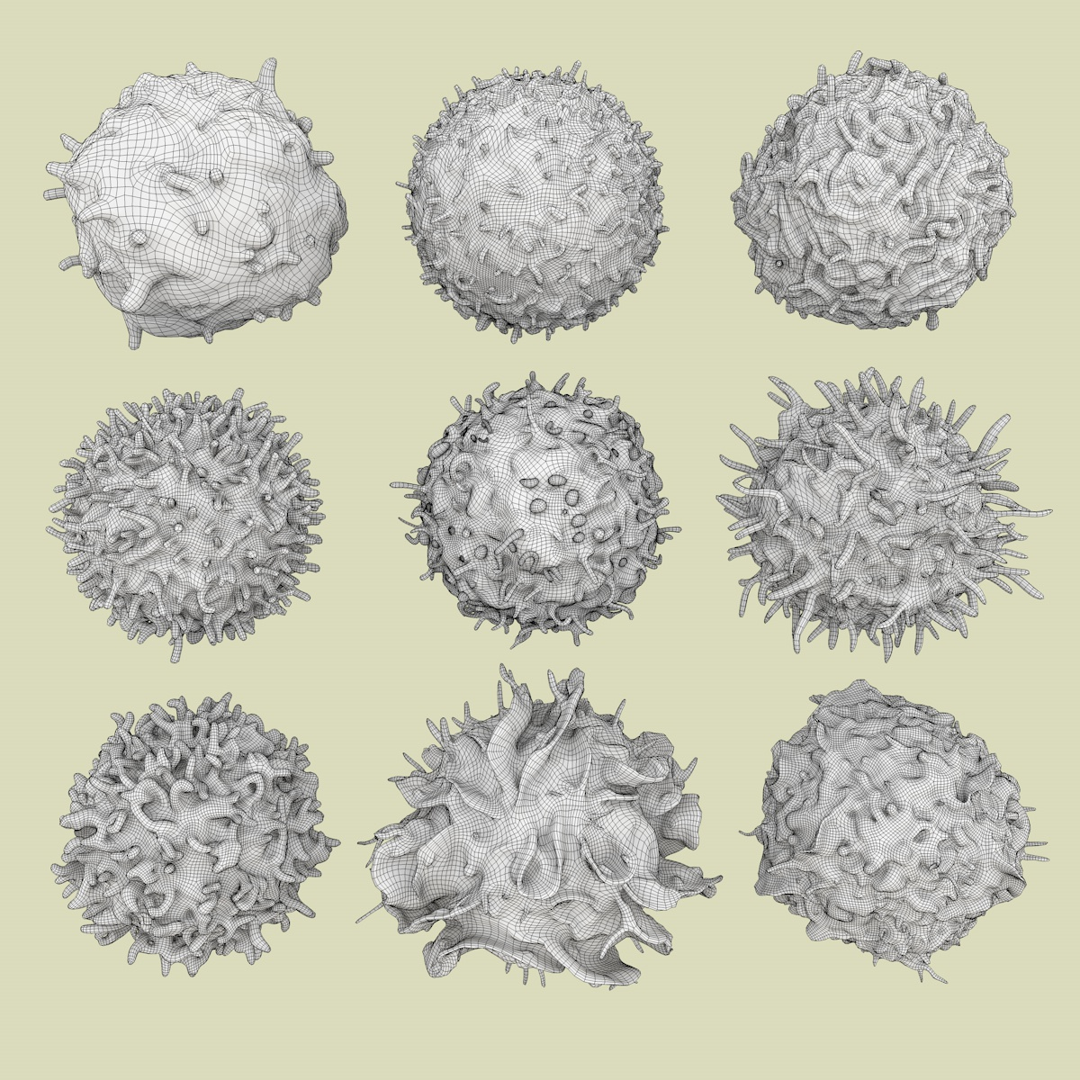 3D lymphocytes neutrophil basophil - TurboSquid 1168937