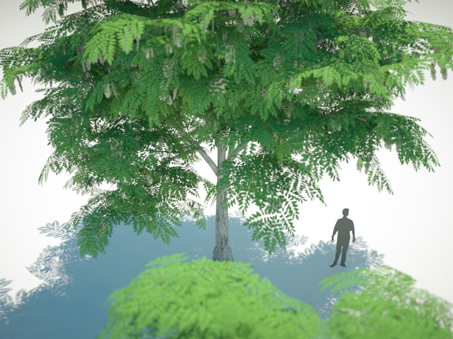 Trees arch gpu 3D model - TurboSquid 1155365