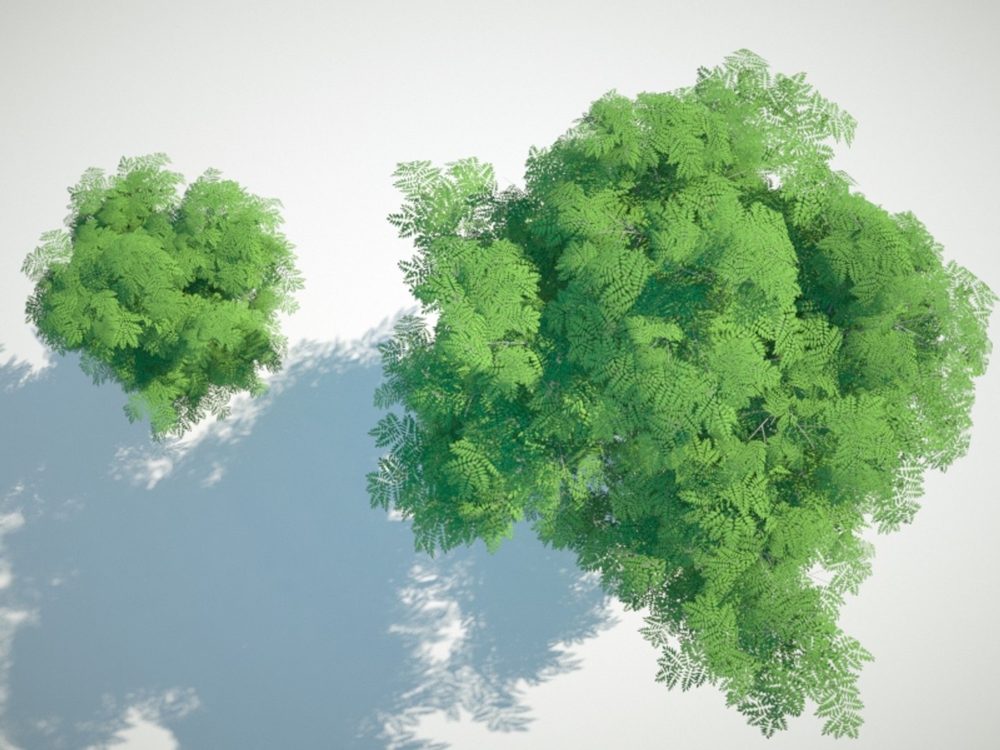 Trees arch gpu 3D model - TurboSquid 1155365