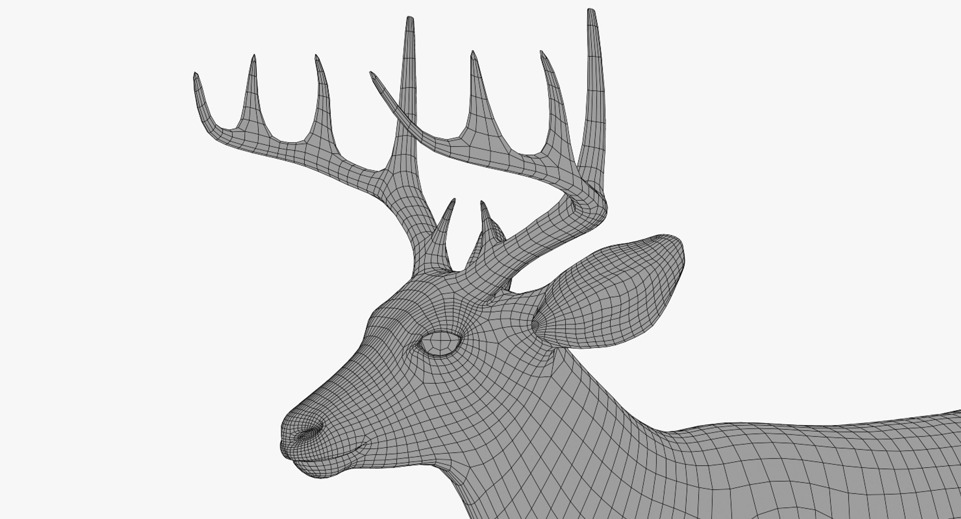 Deer 2 Fur 3d Model