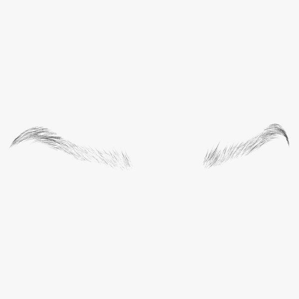 Eyebrow 3D Models for Download | TurboSquid