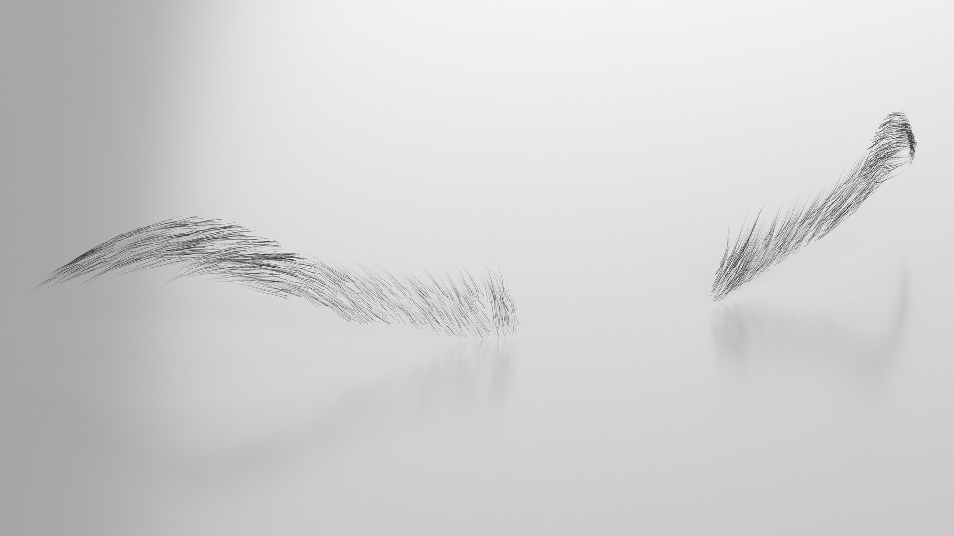 3D S Shaped Eyebrows - TurboSquid 2214170