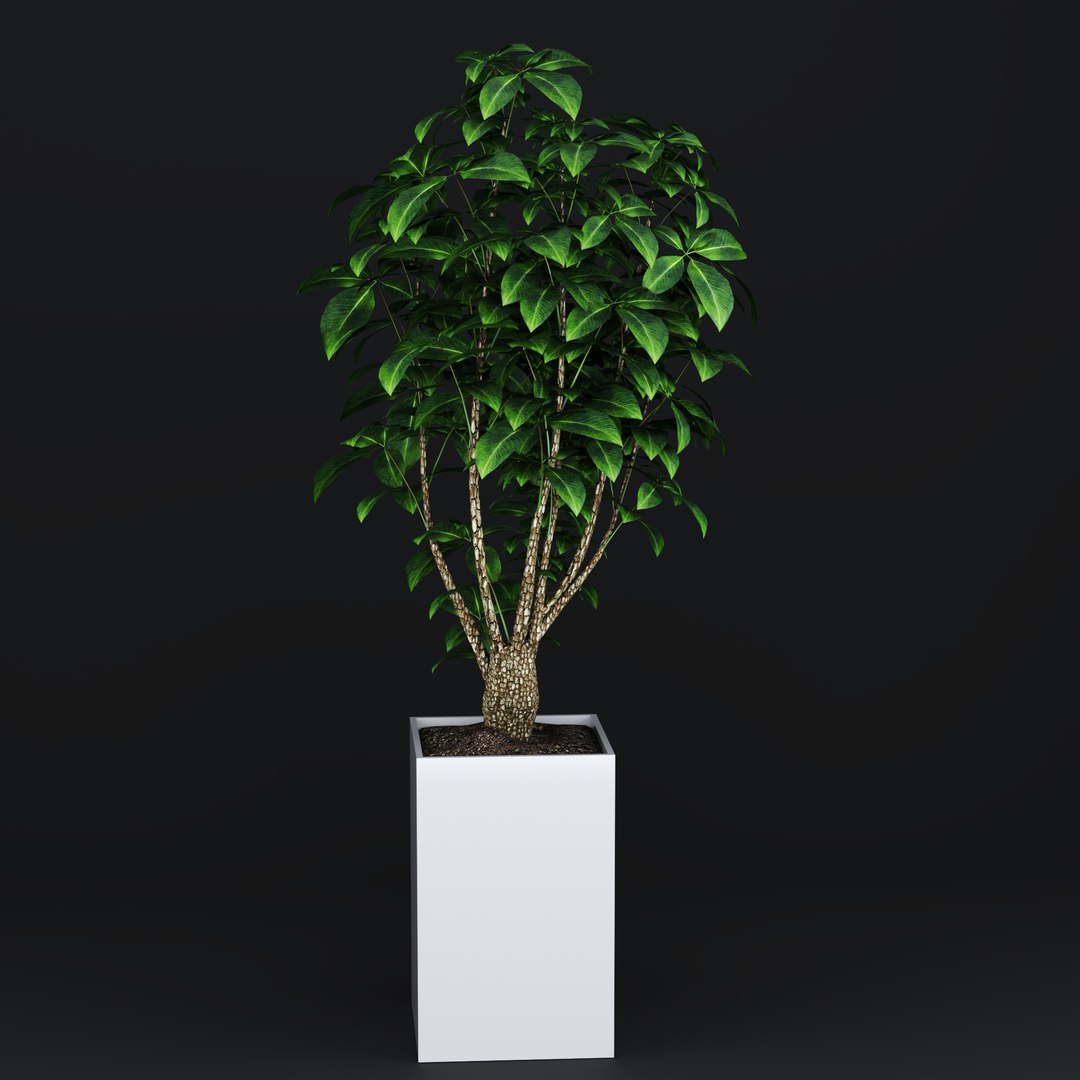 3D Indoor Plant Flower In A Pot 3D Model Model - TurboSquid 2152288