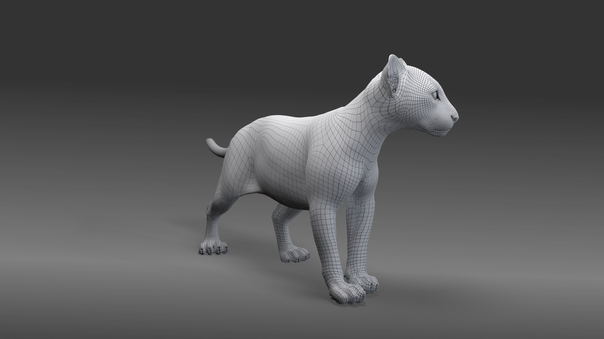 3D baby rigging animation panthera model - TurboSquid 1589203