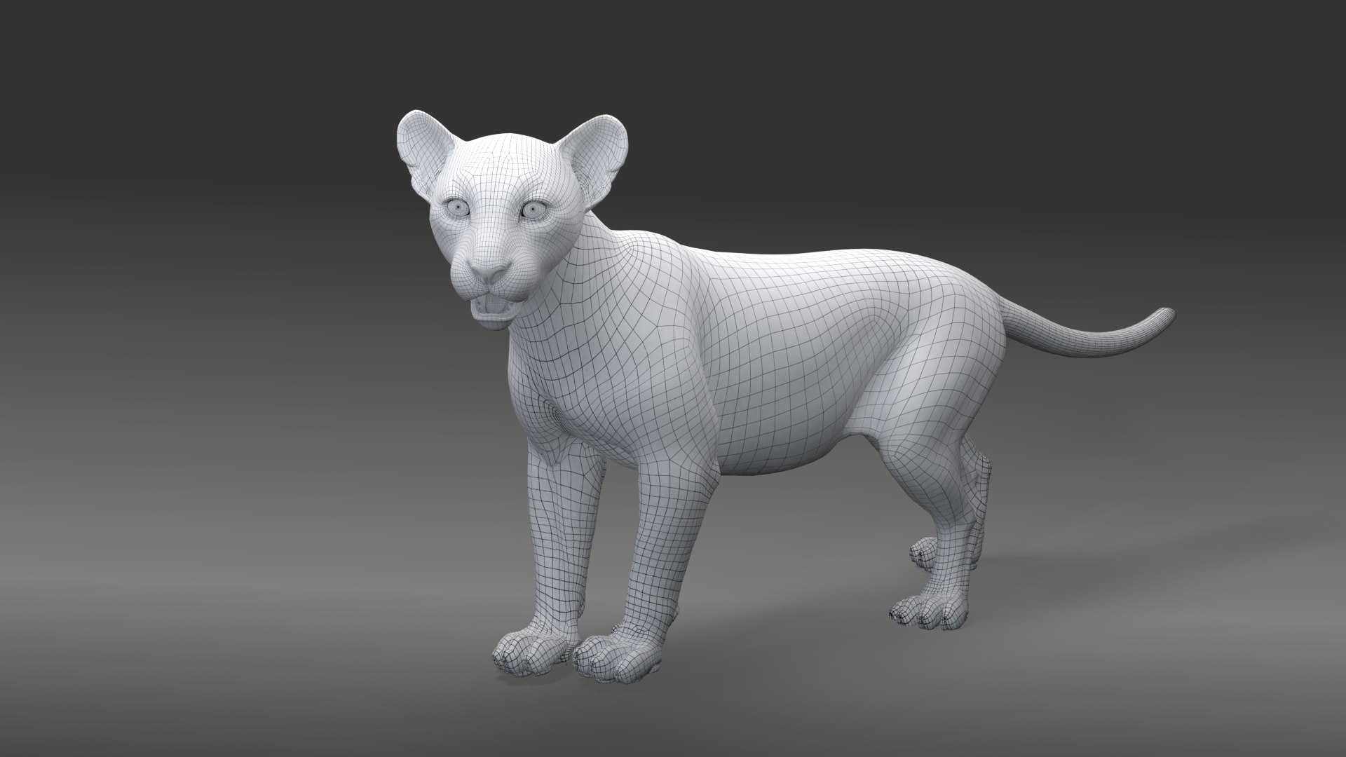 3D baby rigging animation panthera model - TurboSquid 1589203