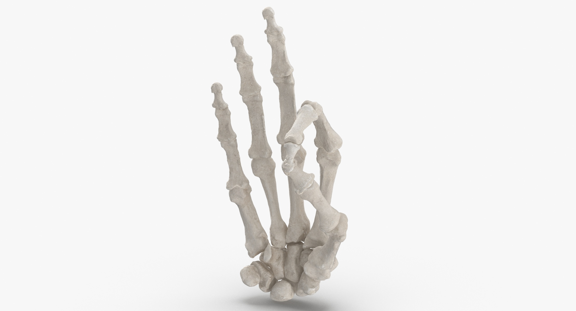 3D модель Human Hand Bones Signs White and Yellow Collection 05 - 4 ...