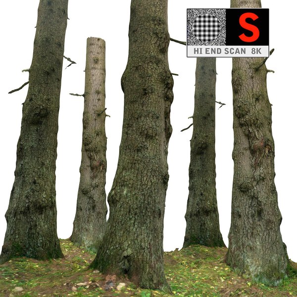 Frozen forest hd pack 3D - TurboSquid 1536828