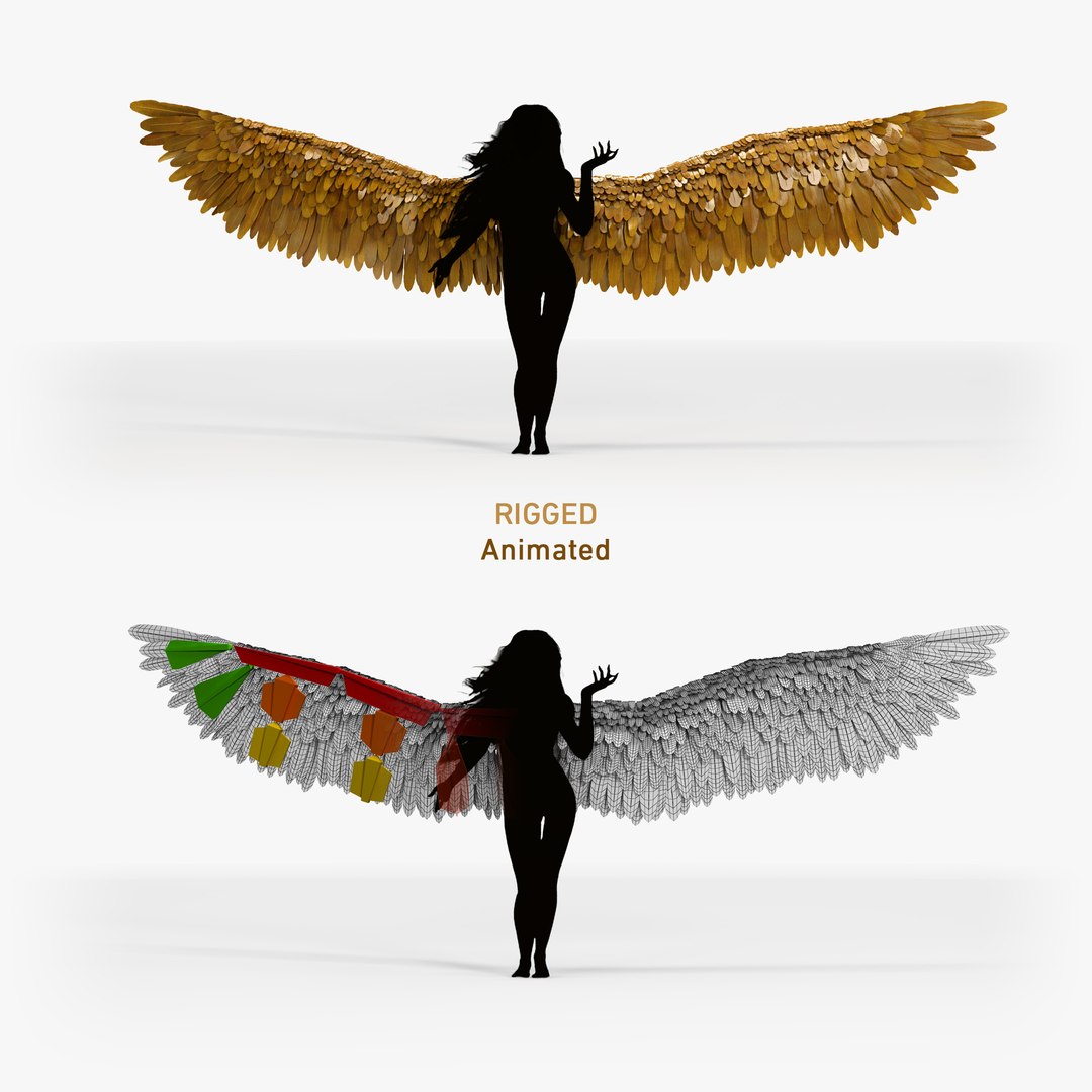 3D rigged - animation angel wings model - TurboSquid 1467308