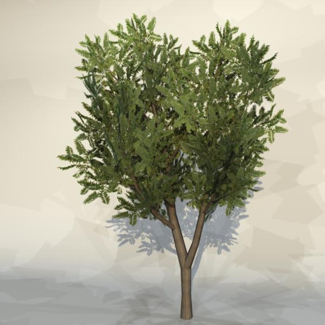 3d Model Pc Tree