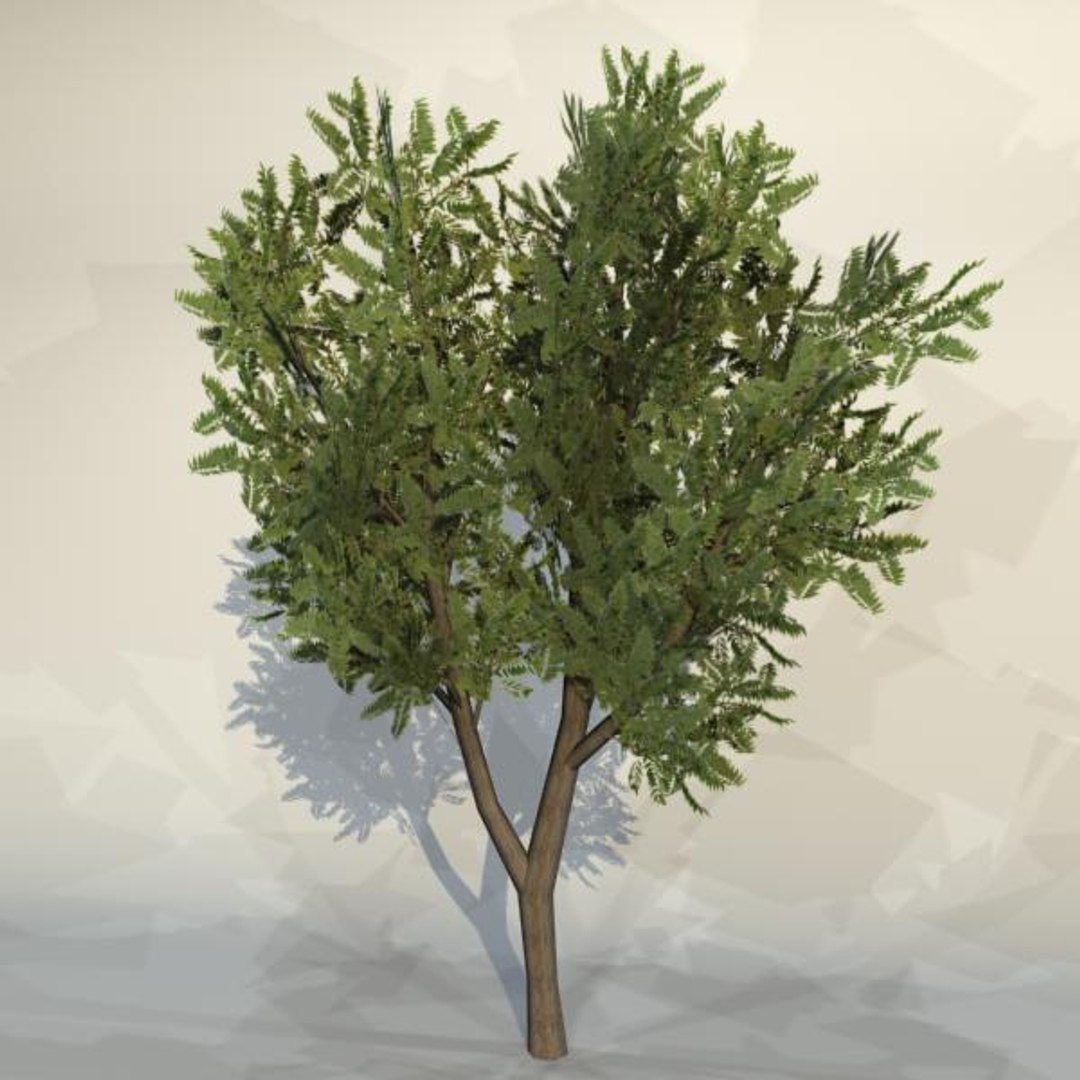 3d Model Pc Tree