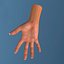 Max Realistic Hand Female