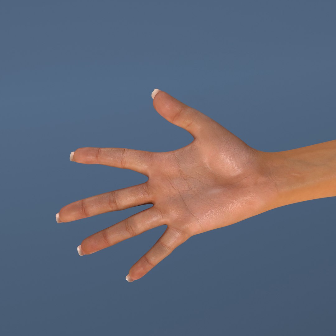 Max Realistic Hand Female