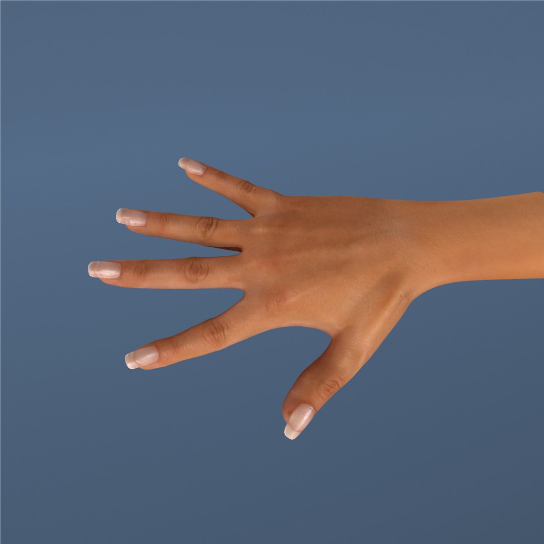 Max Realistic Hand Female