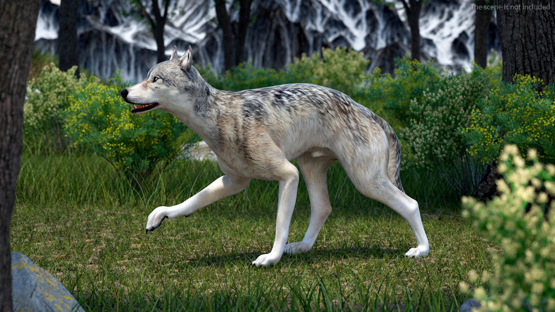 3D Model Wolf Rigged For Cinema 4D - TurboSquid 2249633