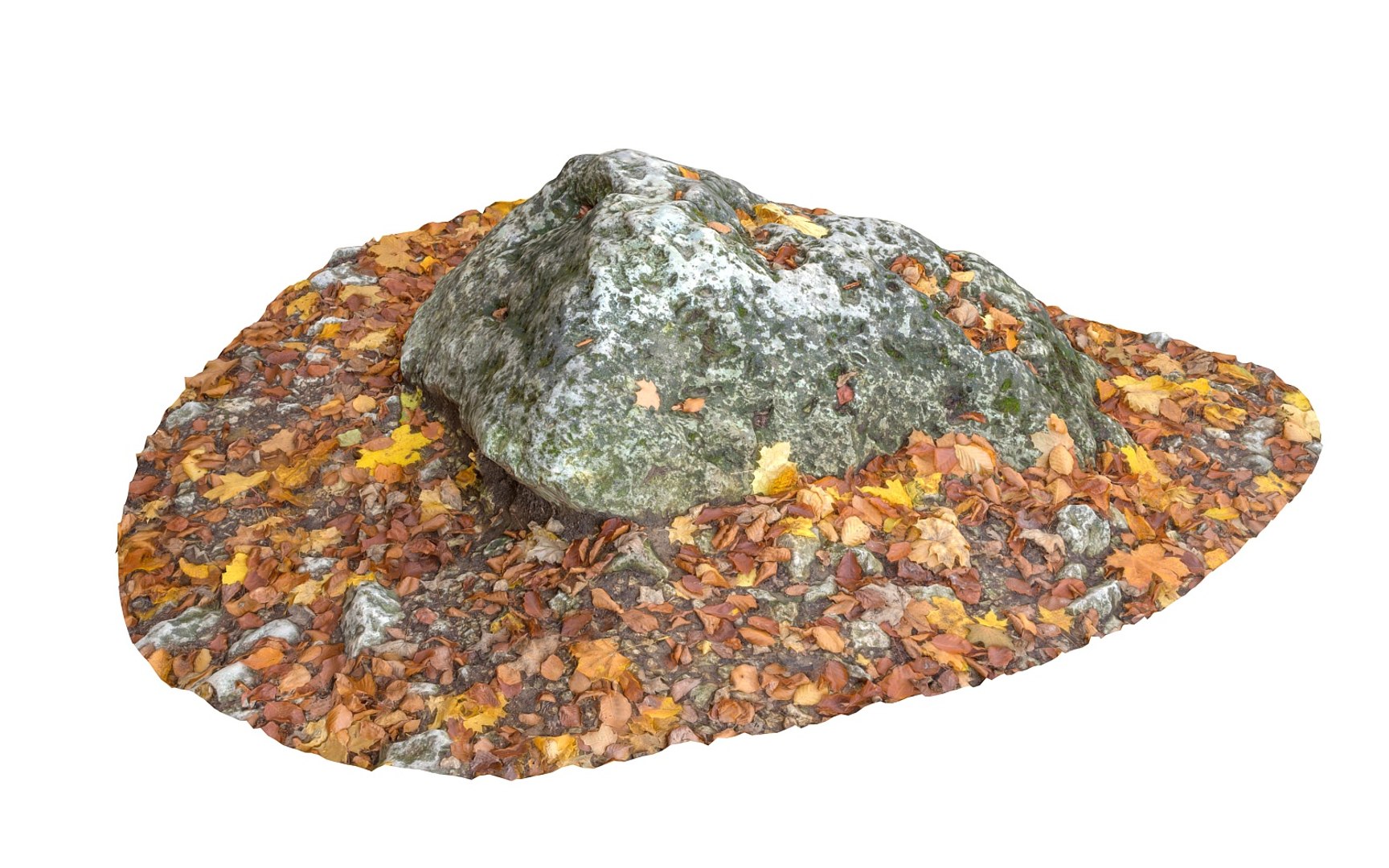 max rock forest autumn 8k