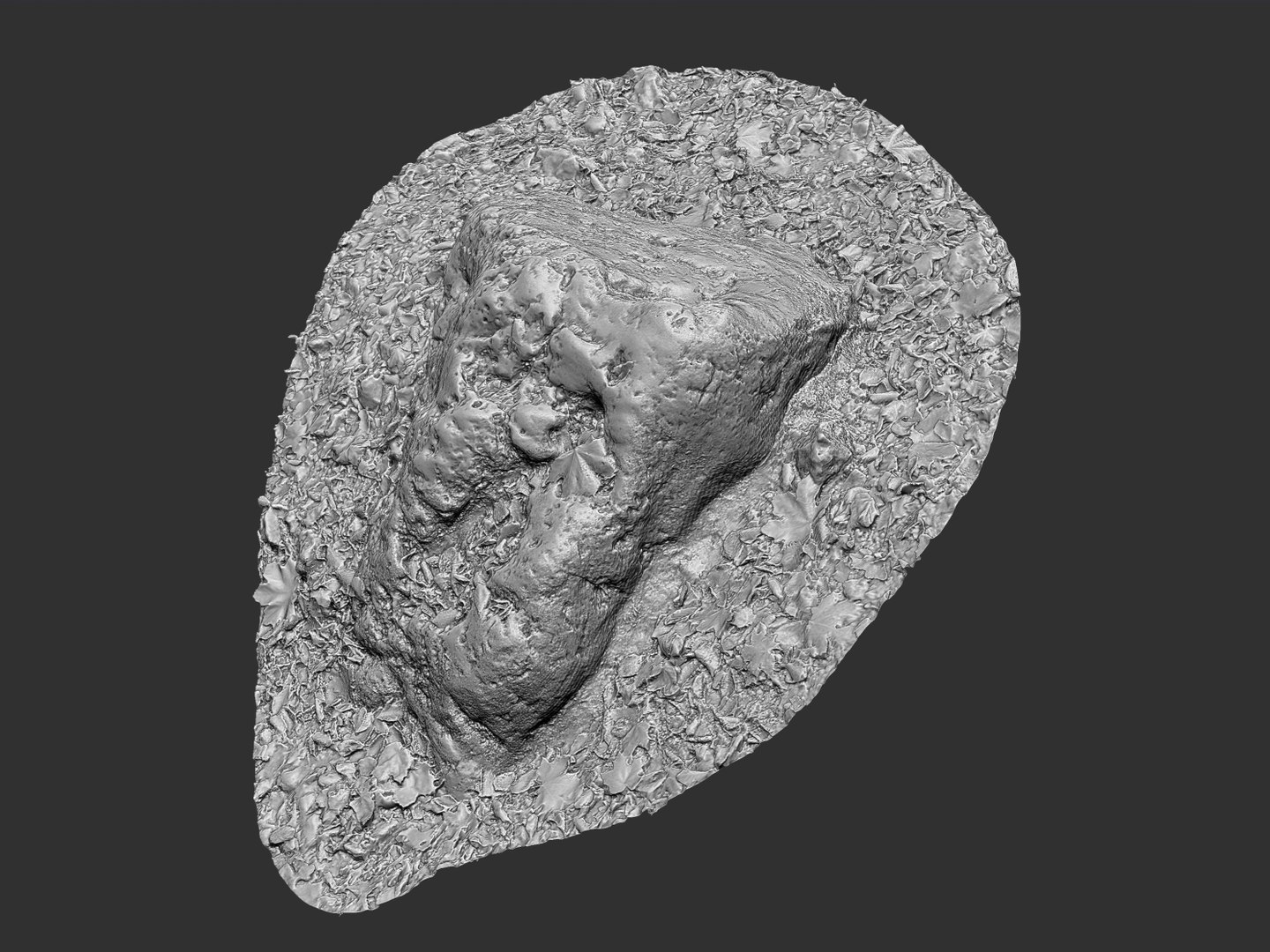 max rock forest autumn 8k