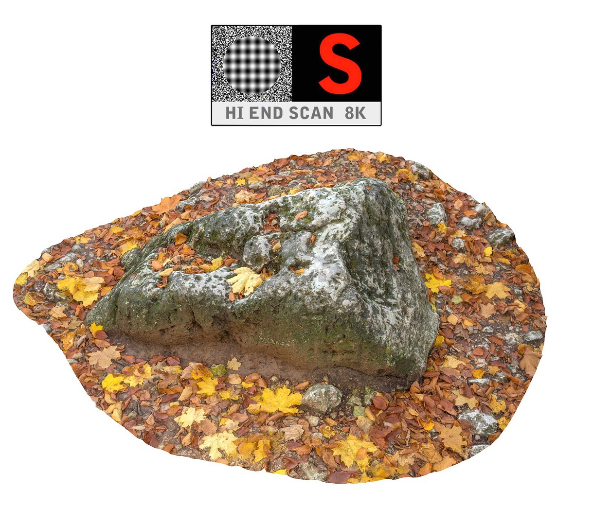 max rock forest autumn 8k