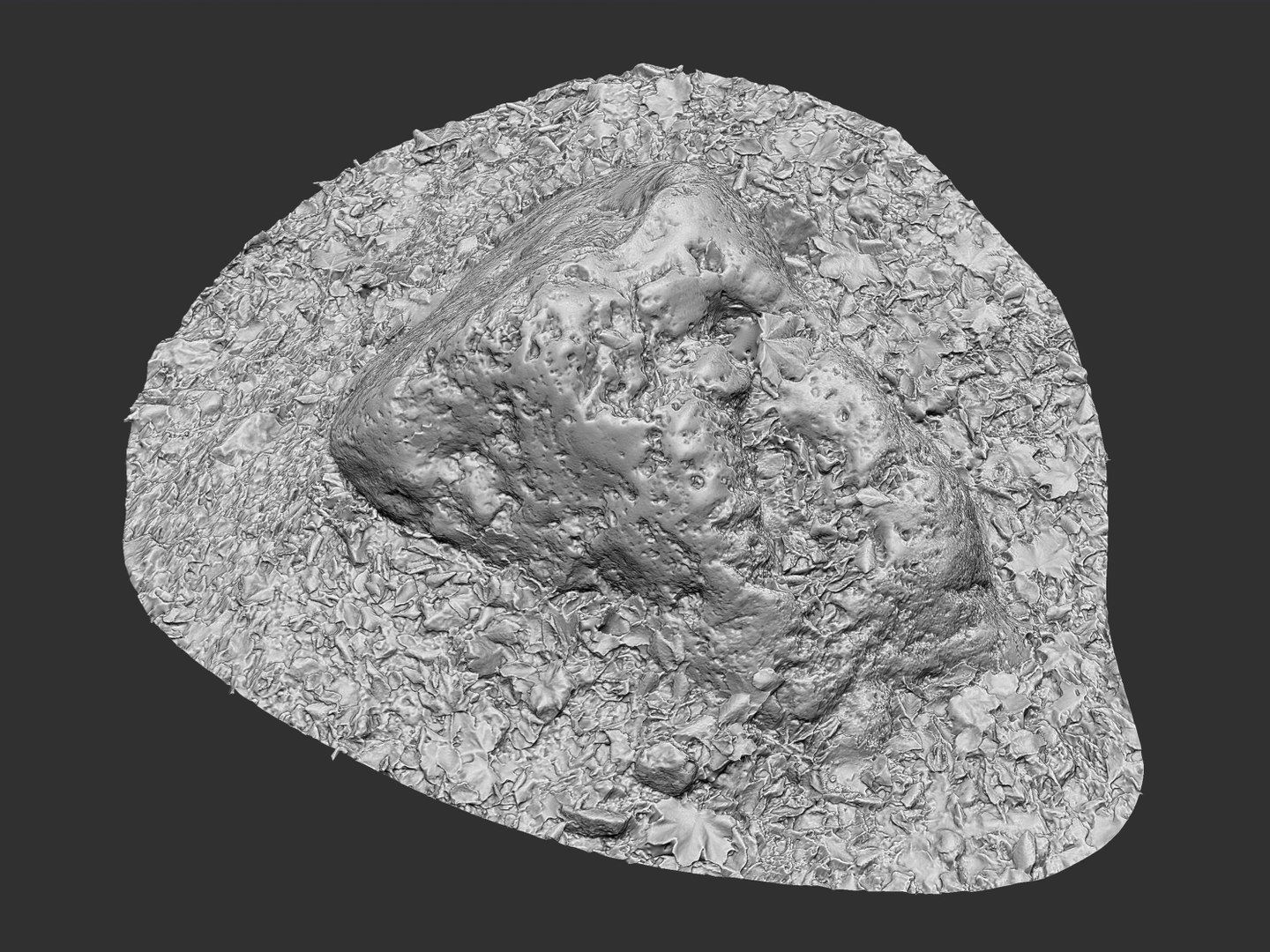 max rock forest autumn 8k