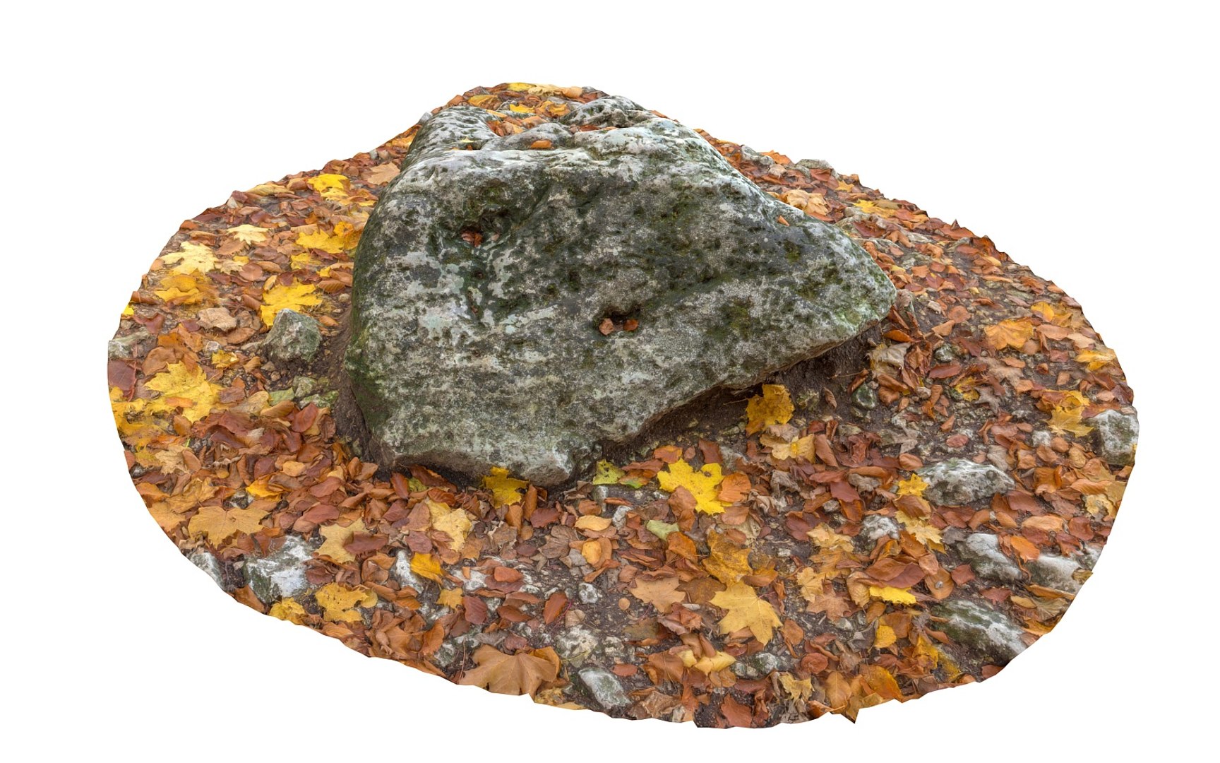 max rock forest autumn 8k