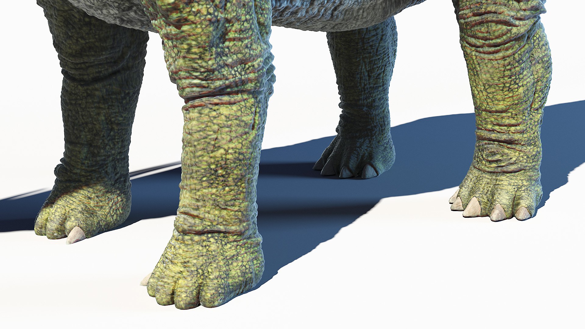 3D Amargasaurus Model - TurboSquid 1646729