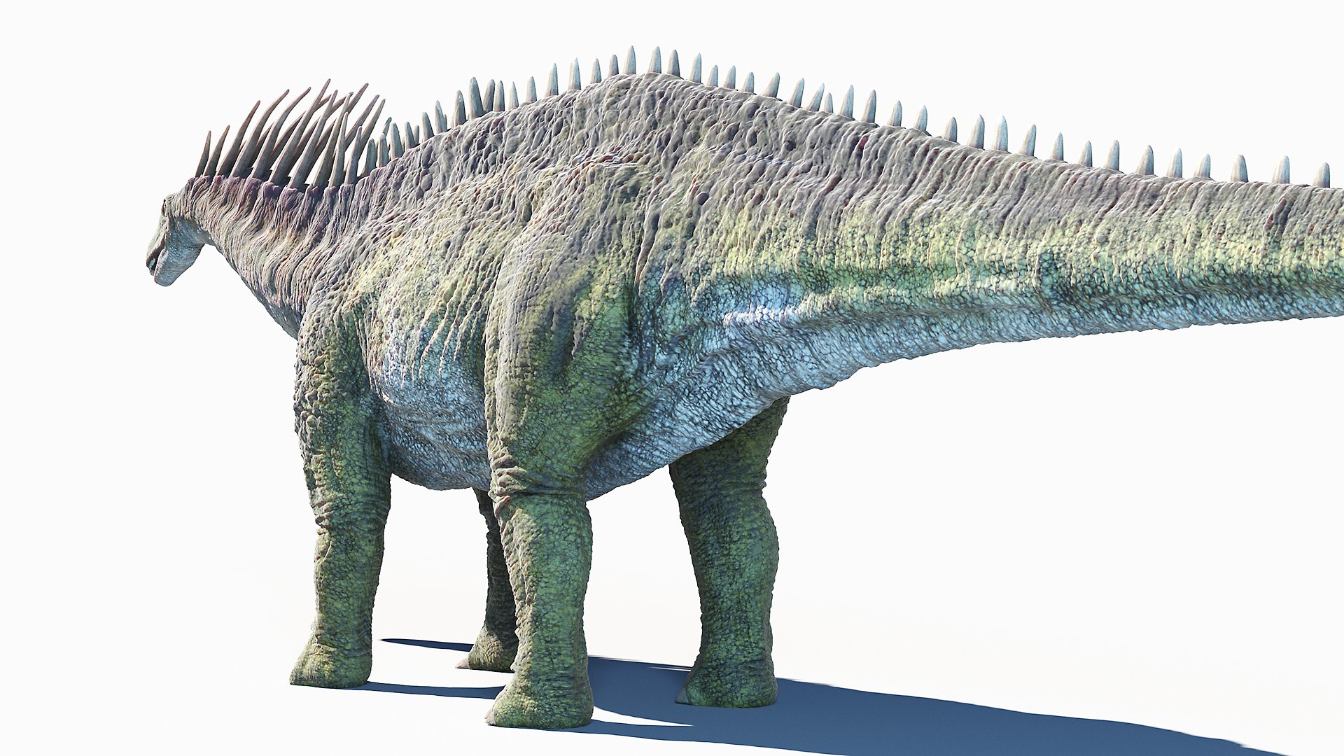 3D Amargasaurus Model - TurboSquid 1646729