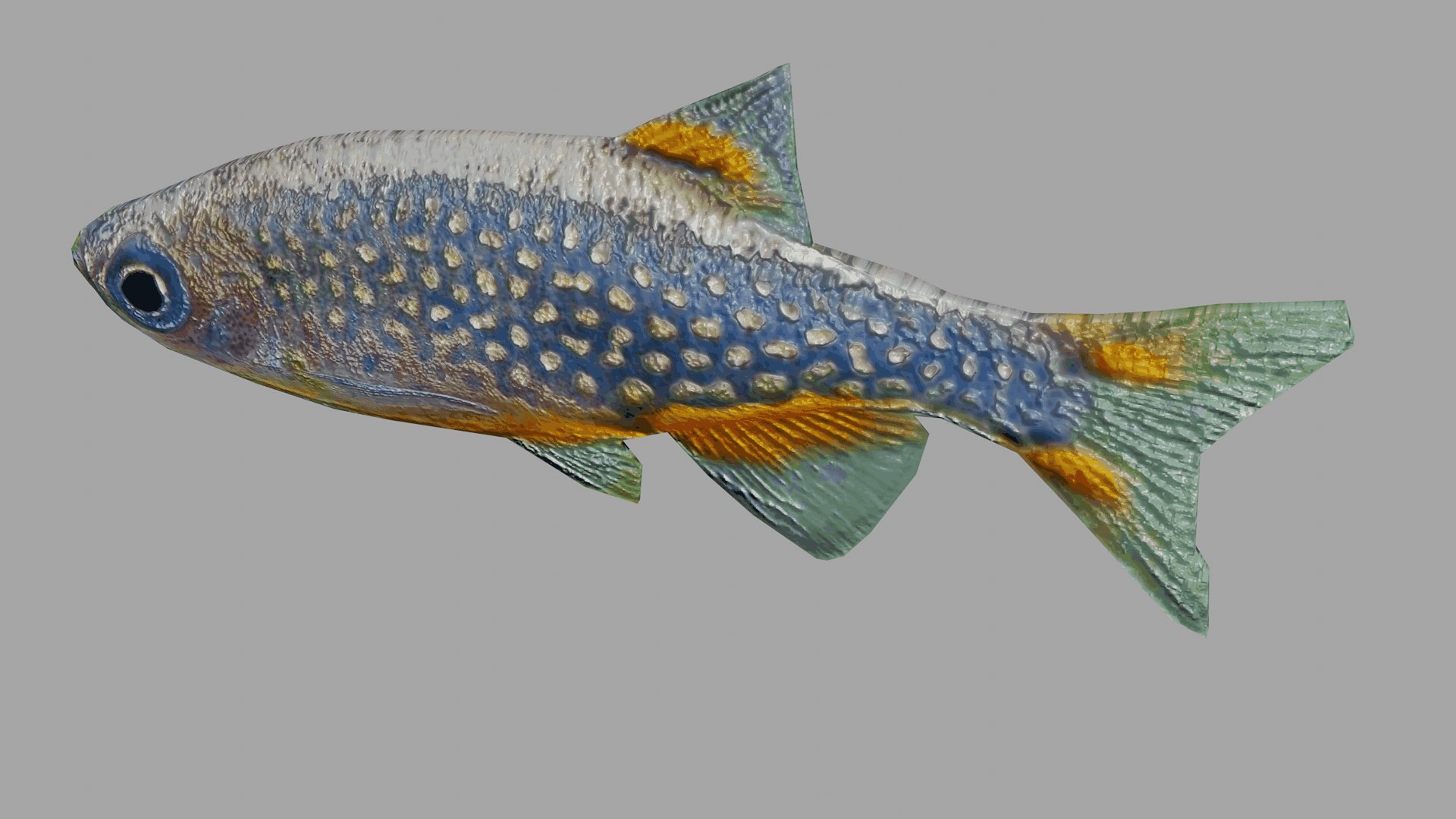 Fish collection-Set of 5 Low poly 3D model - TurboSquid 2119865