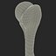 Humerus Bone 3d Model