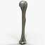 Humerus Bone 3d Model