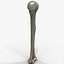 Humerus Bone 3d Model