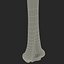 Humerus Bone 3d Model