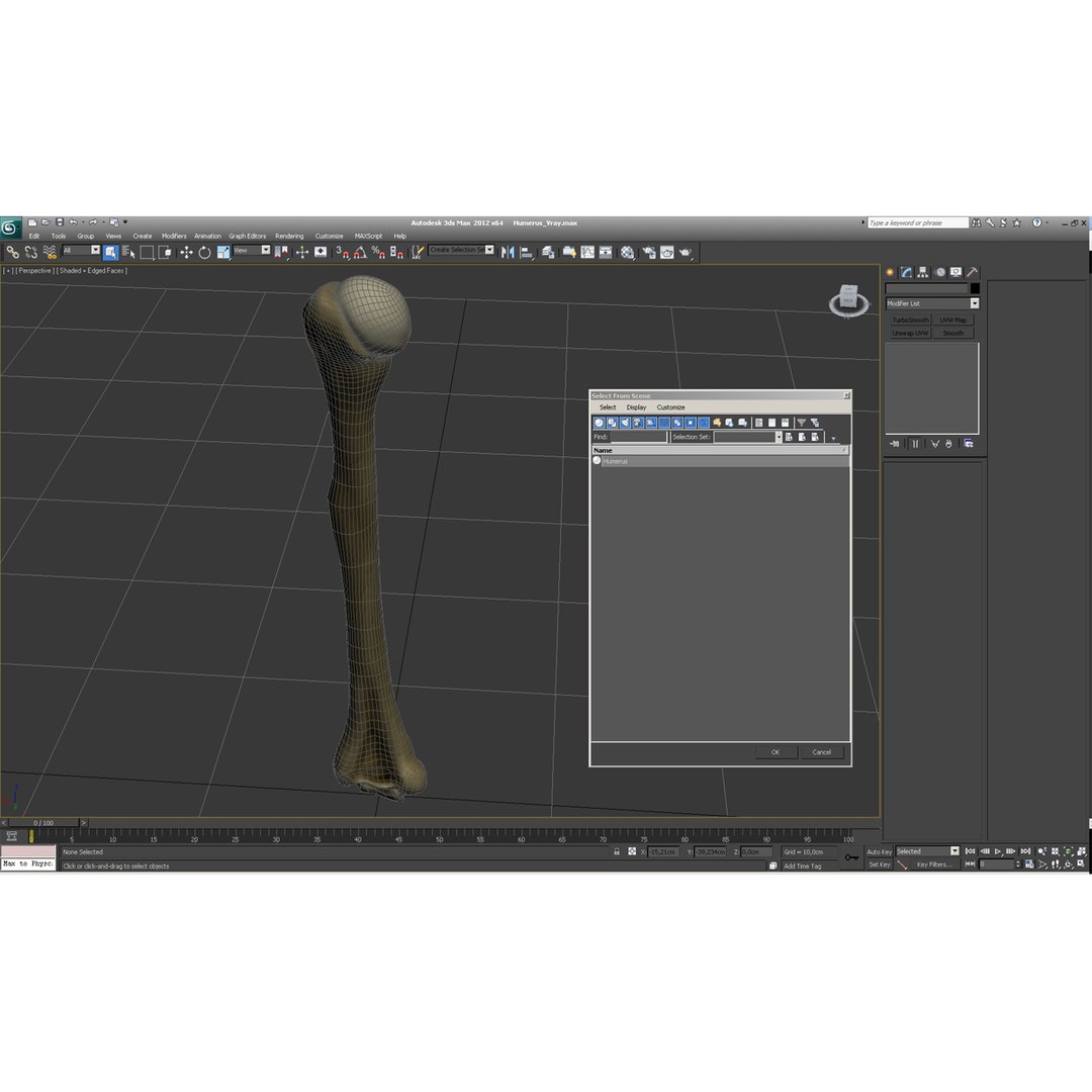 Humerus Bone 3d Model