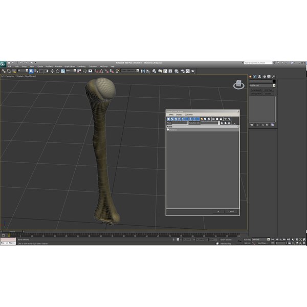 humerus bone 3d model