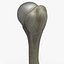 Humerus Bone 3d Model