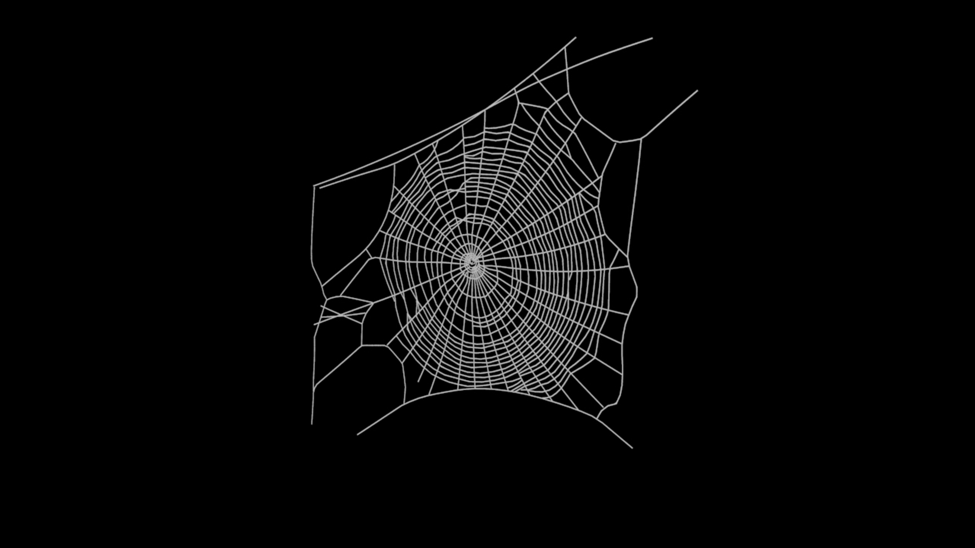 3D Spider Web model - TurboSquid 1740723