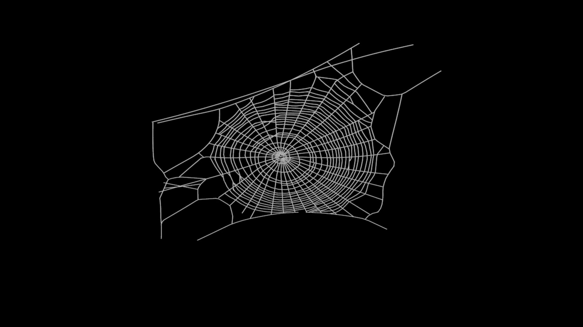 3D Spider Web Model - TurboSquid 1740723