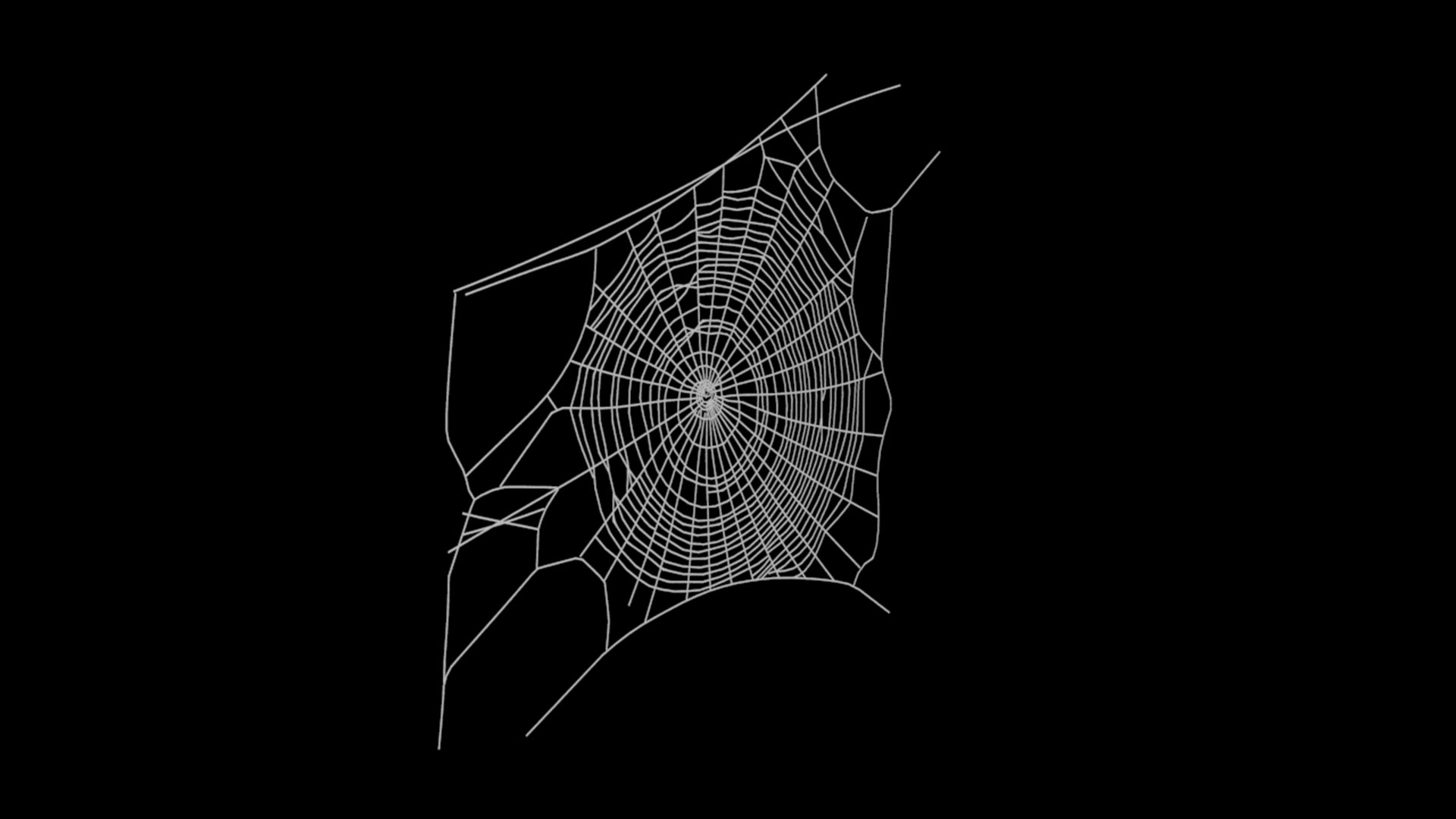 3D Spider Web Model - TurboSquid 1740723