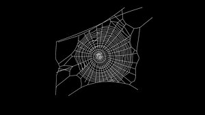 3D Cobweb Models | TurboSquid
