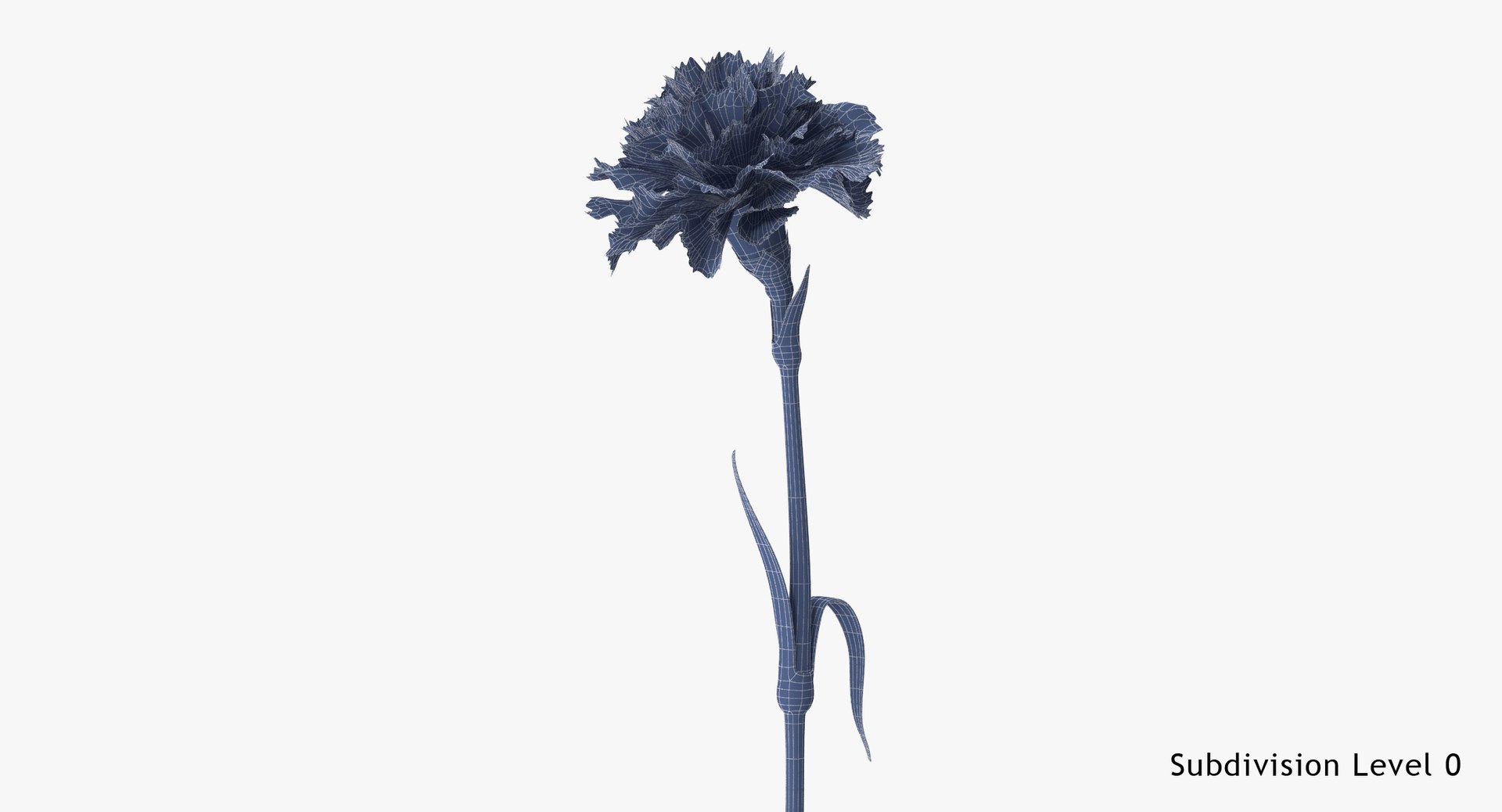 3d Single Standing Carnation - Model