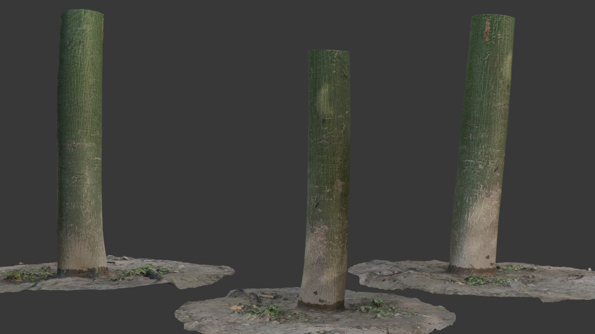 Green Tree Trunk 3D Scan 3D Model - TurboSquid 2395509