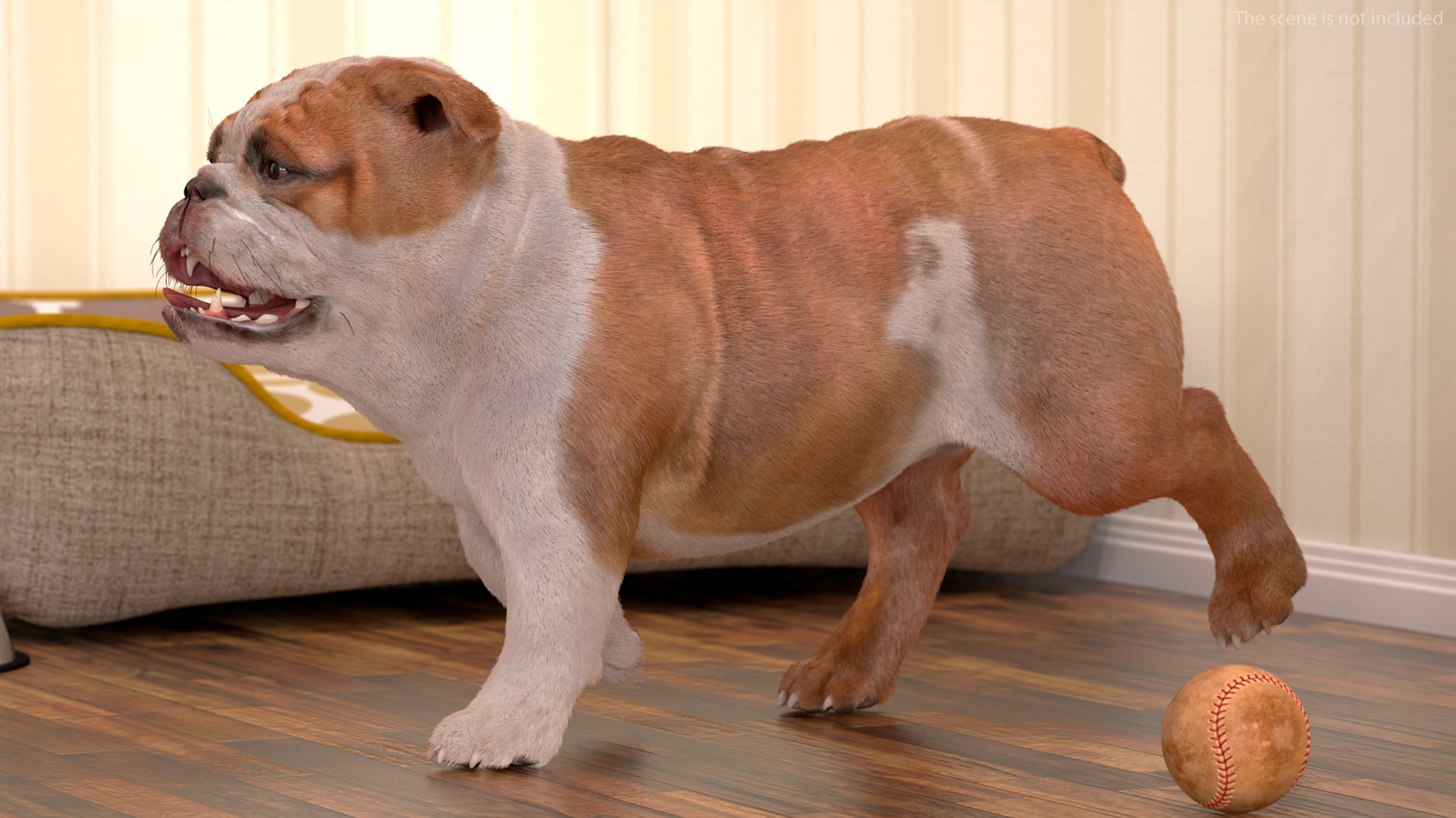 3D Bulldog Fur Rigged - TurboSquid 2180206