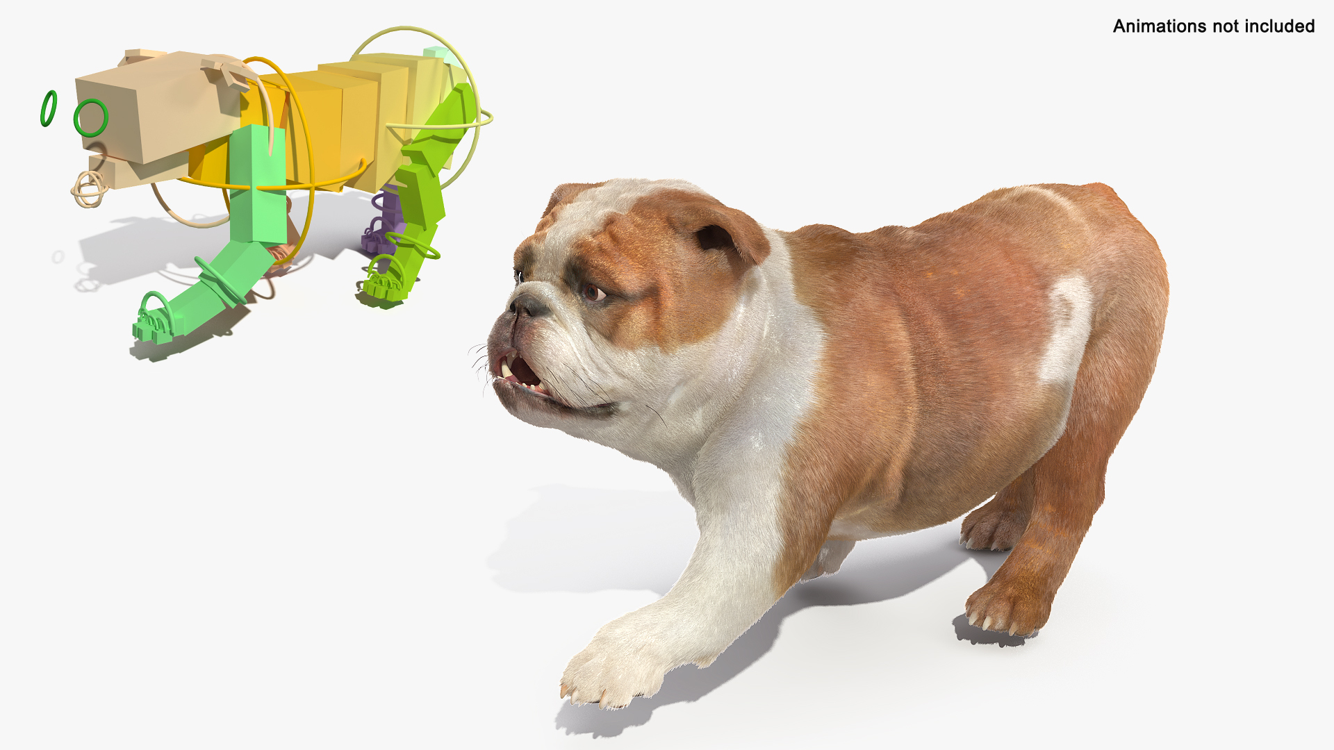 3D Bulldog Fur Rigged - TurboSquid 2180206