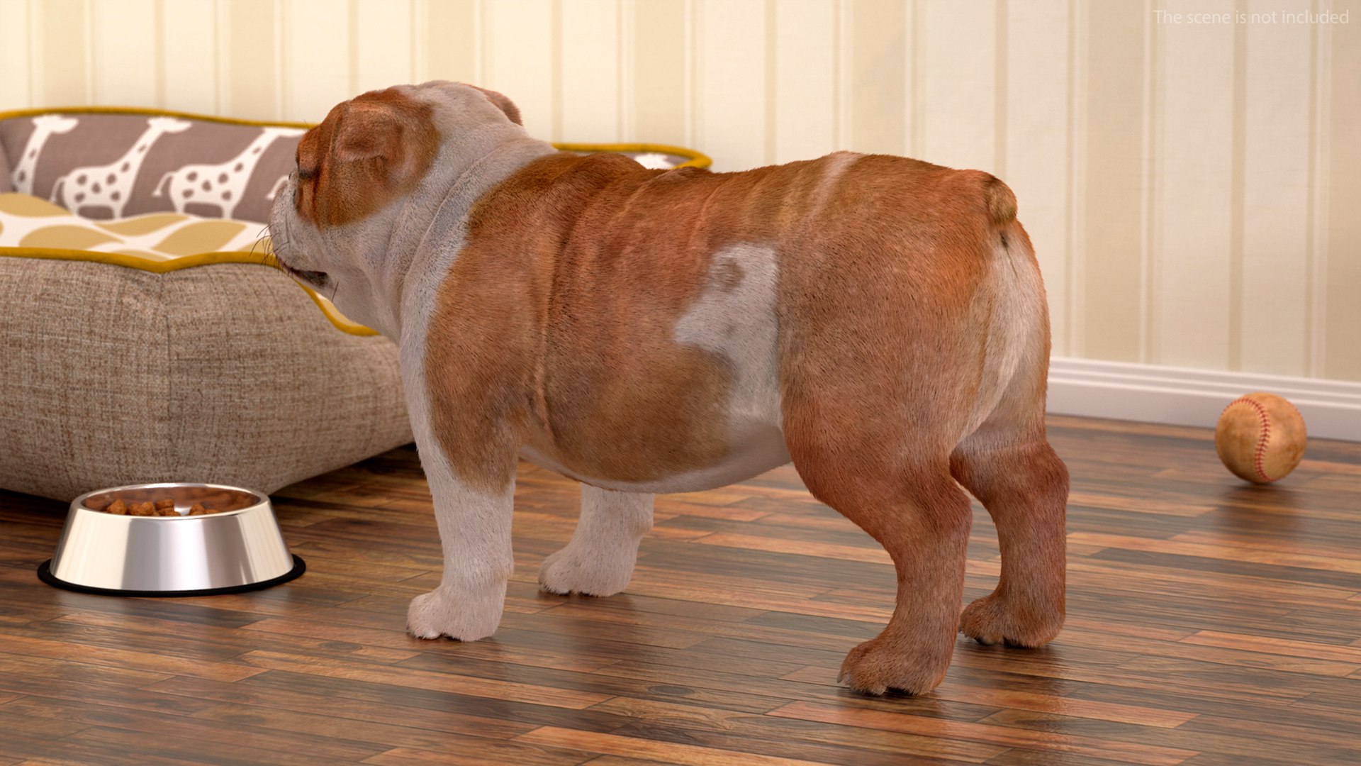 3D Bulldog Fur Rigged - TurboSquid 2180206