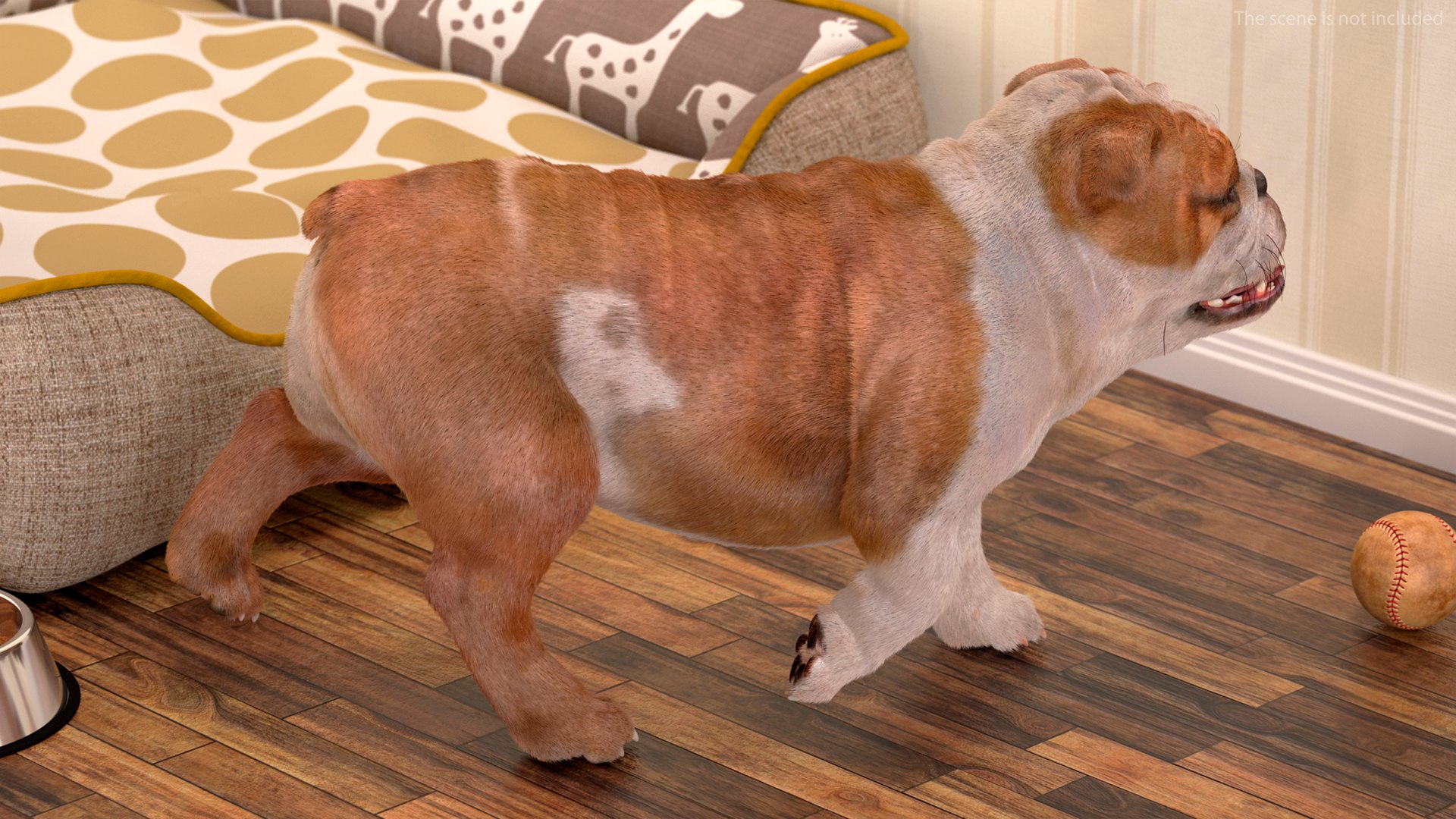 3D Bulldog Fur Rigged - TurboSquid 2180206